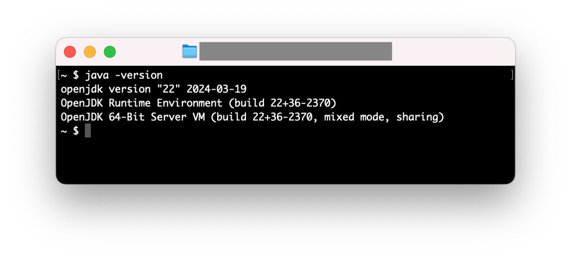 【IntelliJ IDEA】Javaの環境構築【macOS】 | いなかdeMac