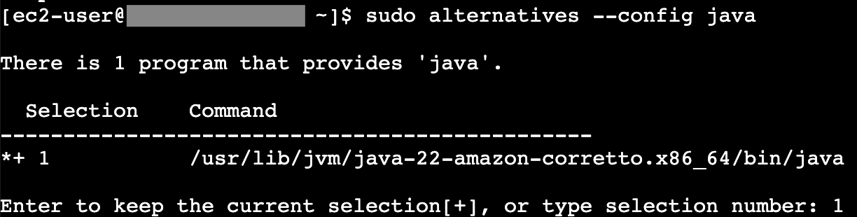 Spring Boot単体をec2にデプロイする方法 いなかdemac